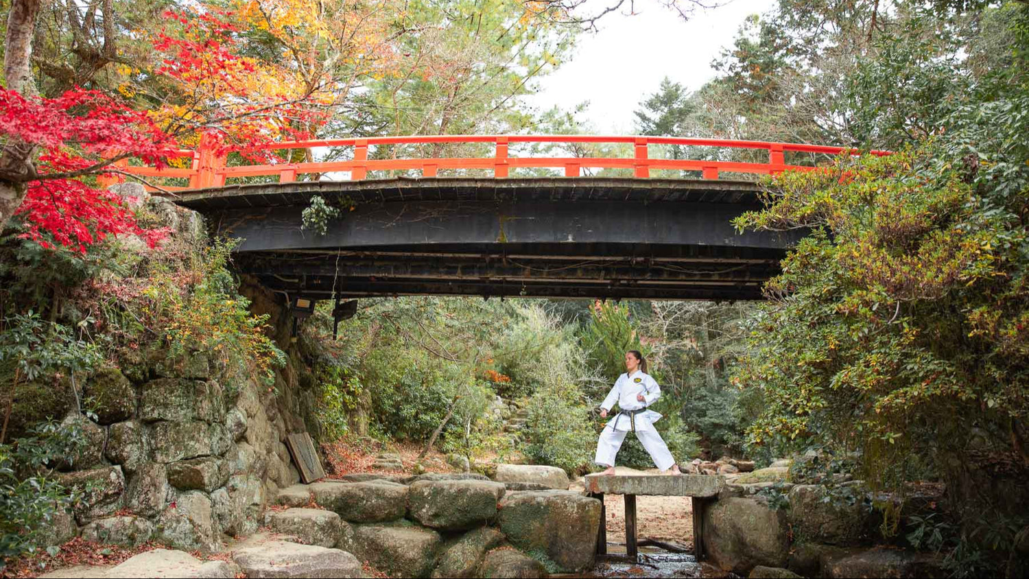 Which Karate Gi is right for me? – JP MADE